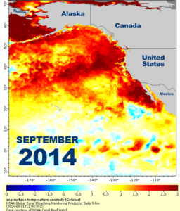 Lab 2.4 – OOI Ocean Data Labs